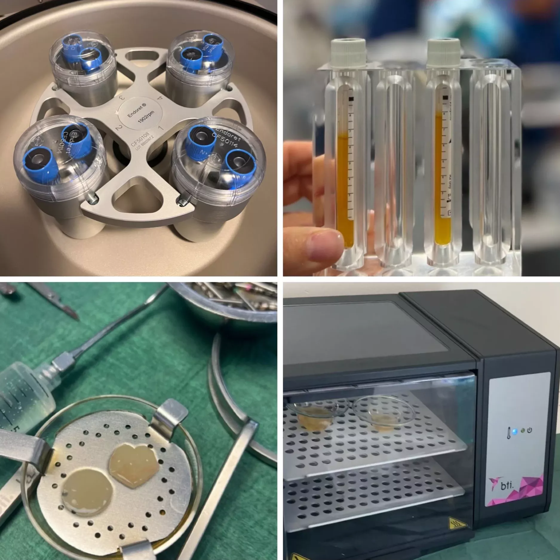 Zahnarztpraxis Meyenberger | Umfassende Zahnmedizin: Von Ästhetik bis ...